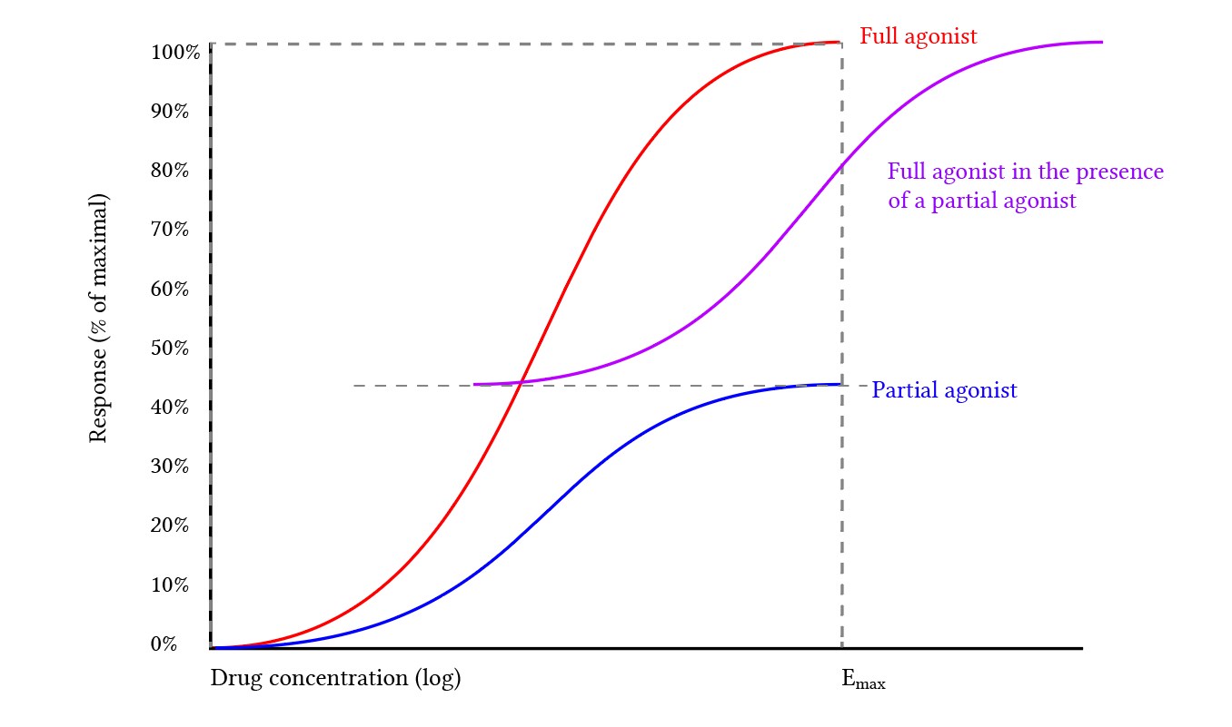 Dose-Response Relationships | Pharmacokinetics and Pharmacodynamics ...